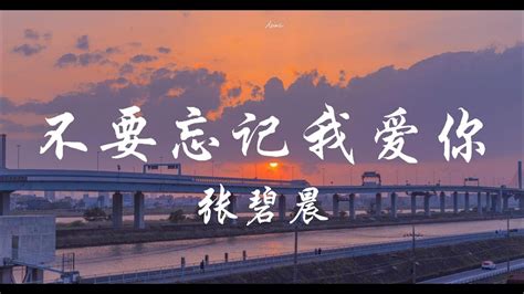 不要忘记我爱你 张碧晨【不要忘记我爱你 不要忘记我想你 只要永远在你身边 无论生命多么短暂】 Youtube