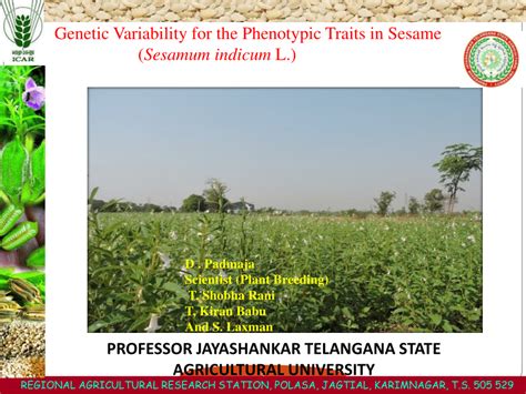 Pdf Genetic Variability For The Phenotypic Traits In Sesame Sesamum Indicum L Professor