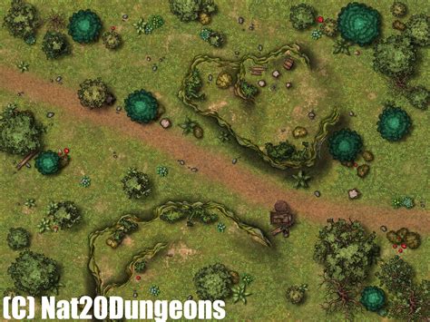 Forest Path Battle Map 30x30 Xebfa0cn7v931 Forrest Map