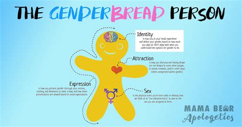 The Genderbread Person Part 1 Gender Identity Mama Bear Apologetics