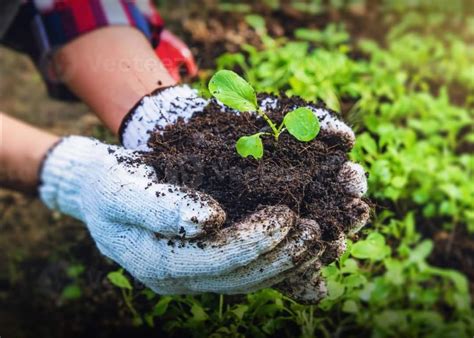 Эрдэнэт үйлдвэр 3 5 сая мод тариалж 1700 гаруй га талбайд техникийн нөхөн сэргээлт хийгээд байна