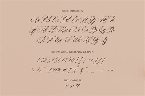 Hello Bride Script Font Fonts