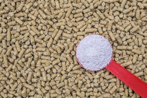 Top 10 Feed Additives To Improve Gut Health