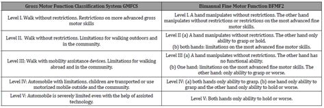Spanish Language Cross Cultural Validation Of The Bimanual Fine Motor Function Classification