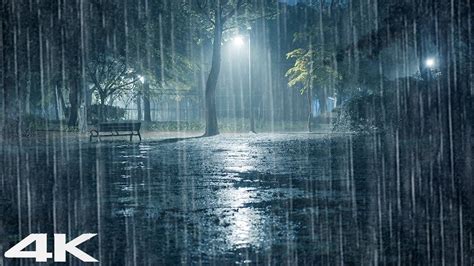 한적한 밤 공원 잔잔한 빗소리 빠른 수면 또는 명상 And 공부를 위한 백색소음 Asmr Youtube