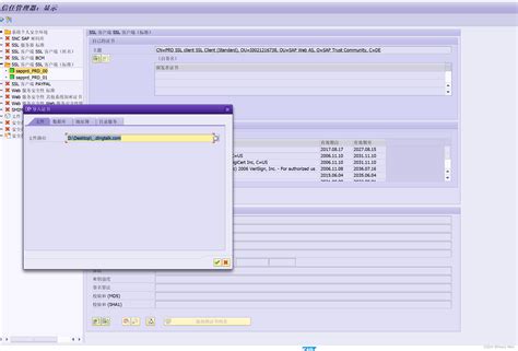 【abap】abap导入接口证书sap 导入证书 Csdn博客