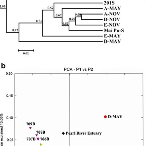 Pcoa A And Hierarchical Clustering Analysis Upgma Algorithm With 100