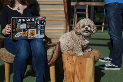 AWS人员招聘 AWS空缺职位 诚聘英才 AWS云服务