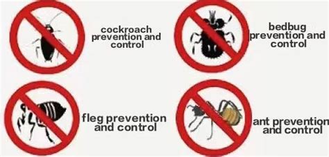 Imiprothrin Usesimiprothrin Insecticideimiprothrin
