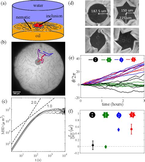 Figure 2 From Rectified Rotational Dynamics Of Mobile Inclusions In Two