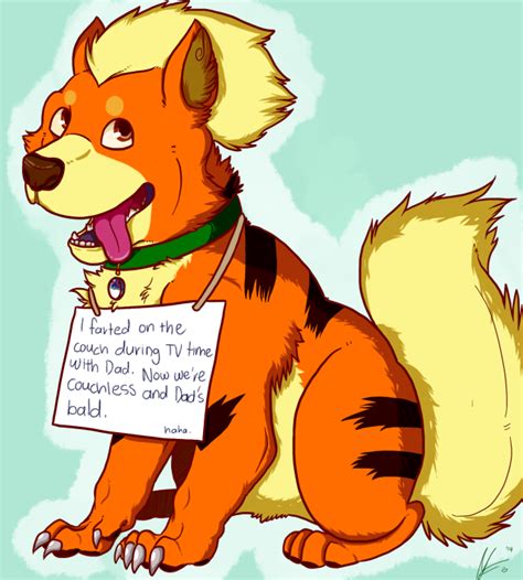 Image 794832 Pokemon Shaming Know Your Meme