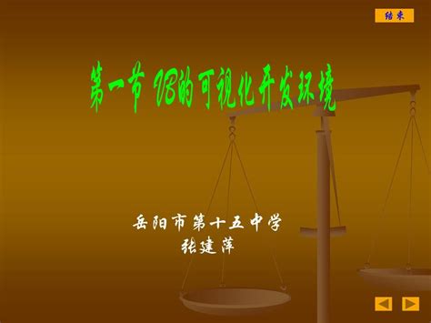 vb可视化编程环境 word文档在线阅读与下载 无忧文档