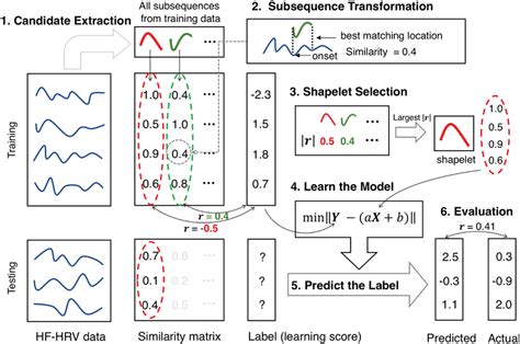 An Illustration Of The Shapelet Analysis With Synthetic Data First Download Scientific