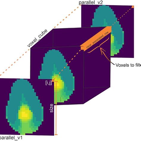 Multi Branch Encoder With A Shared Decoder Download Scientific Diagram