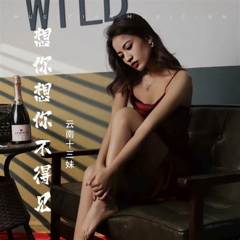 我想情哥哥 云南十三妹 Mp3免费在线下载播放 歌曲宝 找歌就用歌曲宝 Mp3音乐高品质在线免费下载
