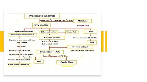 Proximate Analysis Pptx