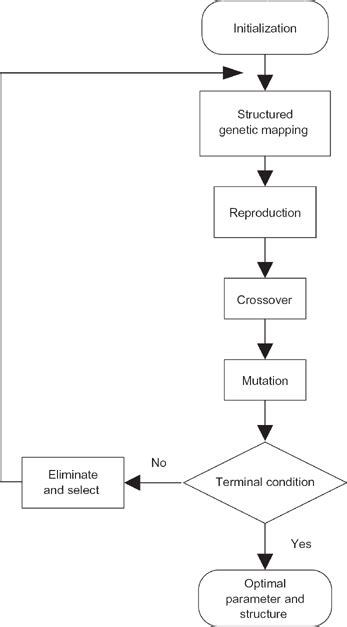 schematic flowchart of real structured genetic algorithm download scientific diagram