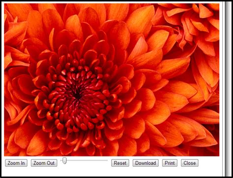 Features To Manage Images Through Sage Crm Part 2 Sage Crm Tips Tricks And Components