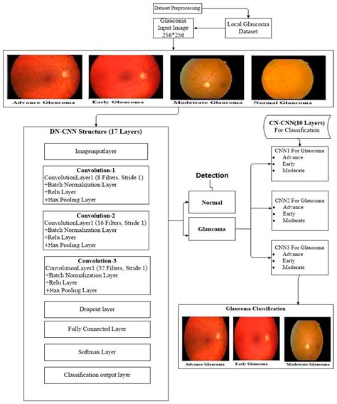 Diagnostics Free Full Text An Adoptive Threshold Based Multi Level Deep Convolutional Neural