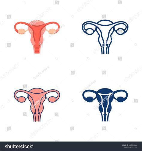 Uterus Ovaries Icon Set Flat Line เวกเตอร์สต็อก ปลอดค่าลิขสิทธิ์