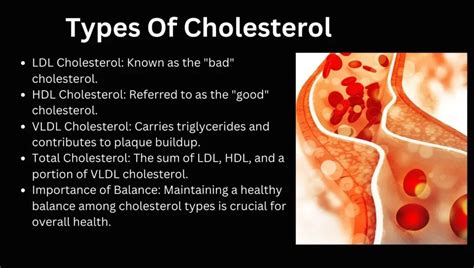 How Much Cholesterol Per Day Bodybuilding