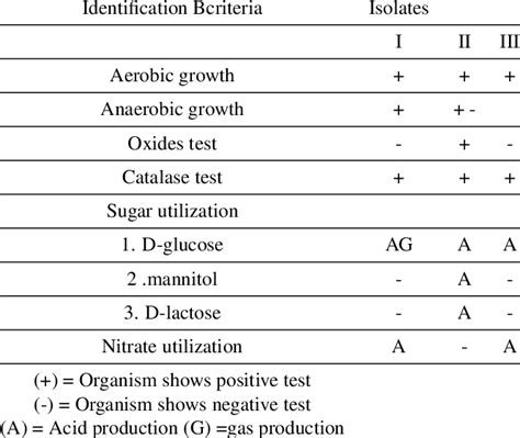 Biochemical Tests For Identifying Isolated Bacteria Download Scientific Diagram