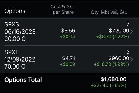 When Your 3x Leverage Options Inverting Each Other Are Both Up Rwallstreetbets