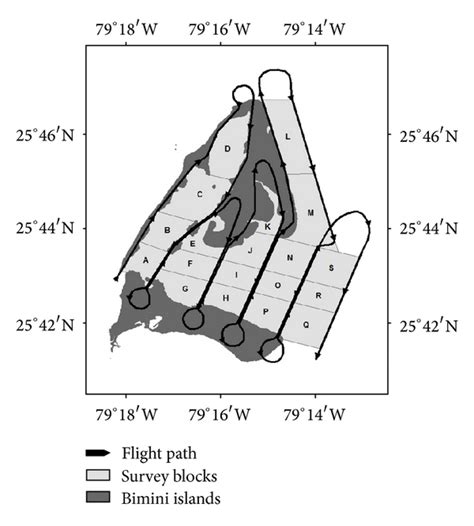 Aerial Survey Transect Flight Path Depicted By The Line Arrows