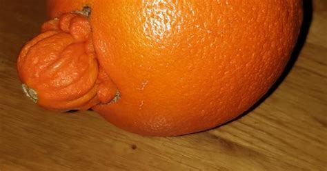 Anal Sex Not Even Once Album On Imgur