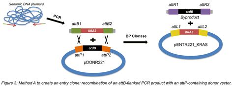123 Gateway Vector Images At