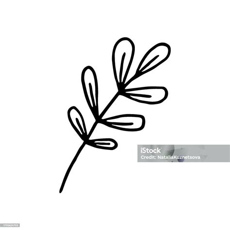 축제 새해와 웨딩 카드 및 포장 디자인을 위한 손으로 그린 벡터 분기 겨울 인사말 카드 포스터 스티커 및 계절 디자인을 위한 낙서 벡터 그림입니다 검은색에 대한 스톡 벡터