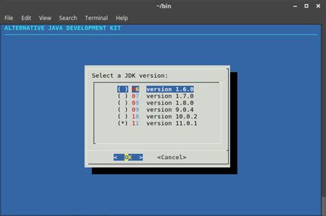 Quản Lý Và Lựa Chọn Phiên Bản Java Development Kit Jdk Icreativ