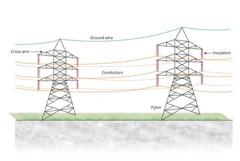 Biodiversity Infrastructure Handbook 5 10 15 Powerlines Components