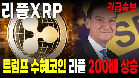 리플 전망 트럼프 테마코인 리플 코인 200배 상승한다 리플대응 긴급속보 리플 Xrp Sec 코인전략가 갈링하우스 Rlusd 리플스테이블코인 Youtube