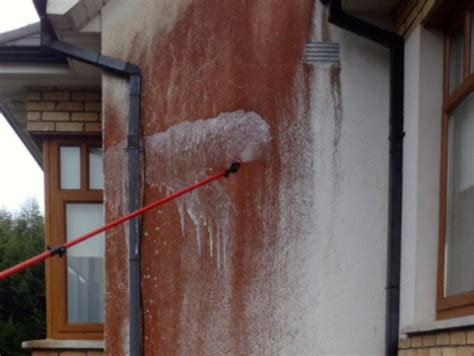 How To Remove Red Algae On Render Right Wash