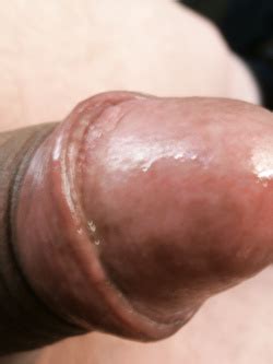 I Miei Foto Per Amaporn Foto Porno AmaPorn