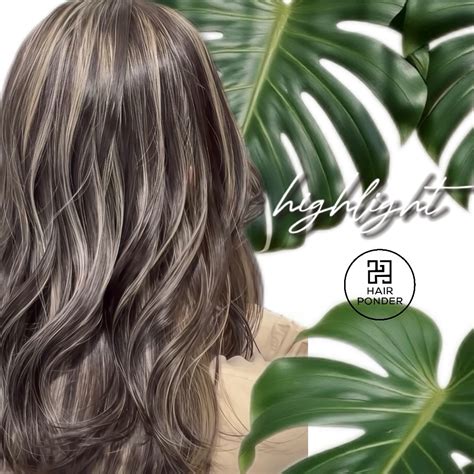 Hair Ponder 女士漂染 挑染 Highlight 沙金色 Facebook