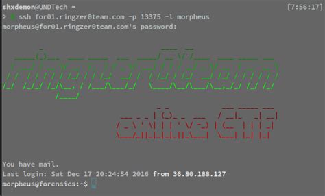 Writeup Ringzer0team Ctf Sysadmin Level 2 Redata Blog