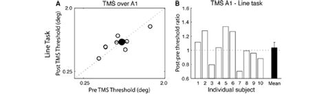 Results Of The Length Discrimination Task Control Experiment A