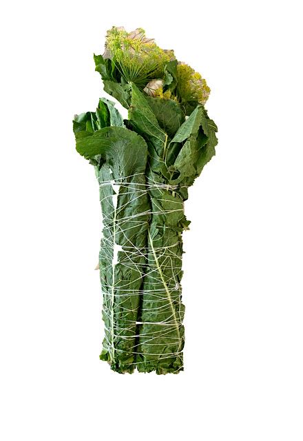 Набор для Засолки №5, 5 шт – купить с доставкой по Москве и России ...