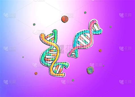Dna测序主题与纸板工艺图纸