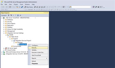 Sql Server Integration Services Ssis Basics Script Task