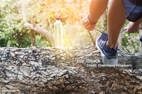 조깅 하기 전에 워밍업 공원에서 연습을 하 고 매력적인 젊은 남자의 이미지를 자른 건강한 생활방식에 대한 스톡 사진 및 기타 이미지 건강한 생활방식 길이 남자