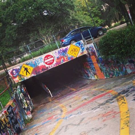 The University Of Florida Blog On Tumblr