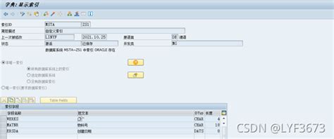 abap索引的生成与使用 abap 创建索引 csdn博客
