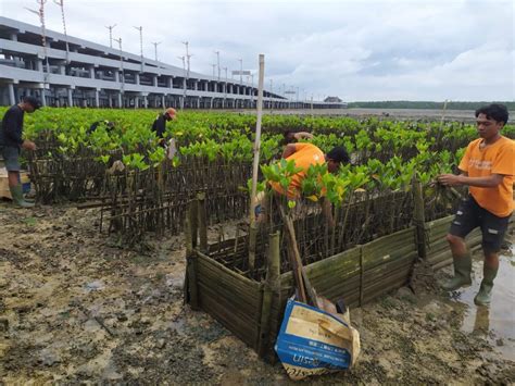 Monitoring Ecosystem Restoration And Forest Monitoring In Maintaining Or Increasing Carbon