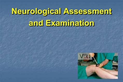 447409371 78222493 Neurological Assessment And Examination 1 Ppt Ppt