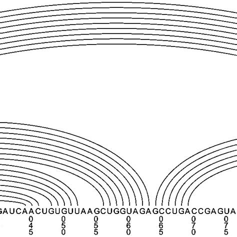 Jvizrna Circle Graph View Of S Cerevisiae Prediction Structure Download Scientific Diagram