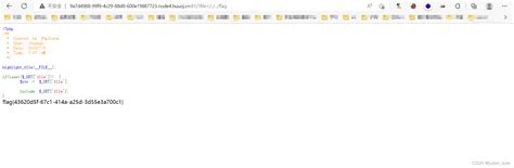 【网络安全ctf】buuctfbasic篇