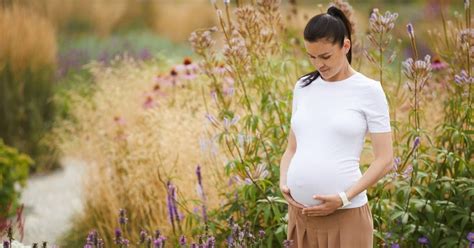 Toxins To Avoid Before During And After Pregnancy Dr Christine Maren